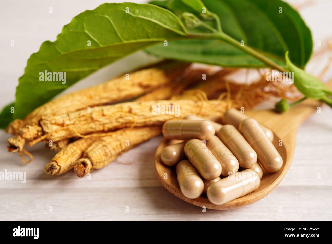 Ginseng, dried vegetable herb. Healthy food famous export food in Korea ...