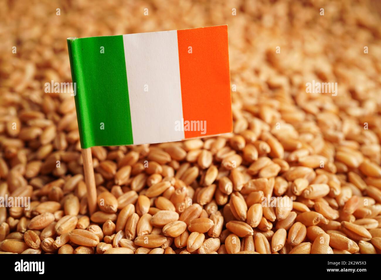 Grains wheat with Ireland flag, trade export and economy concept Stock ...