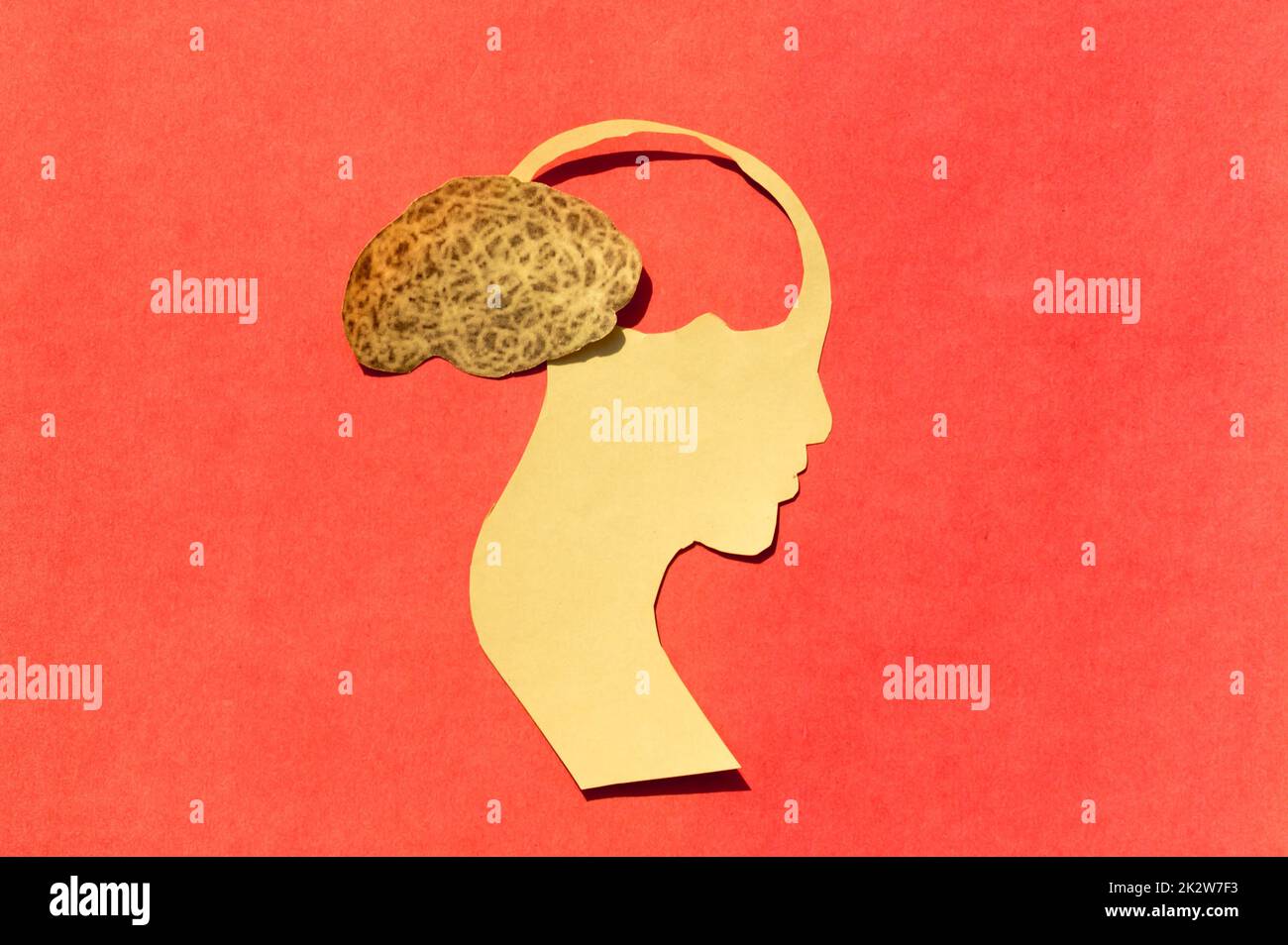 Human Brain Isolated Within Human Head. Paper Illustration. Feelings of ...