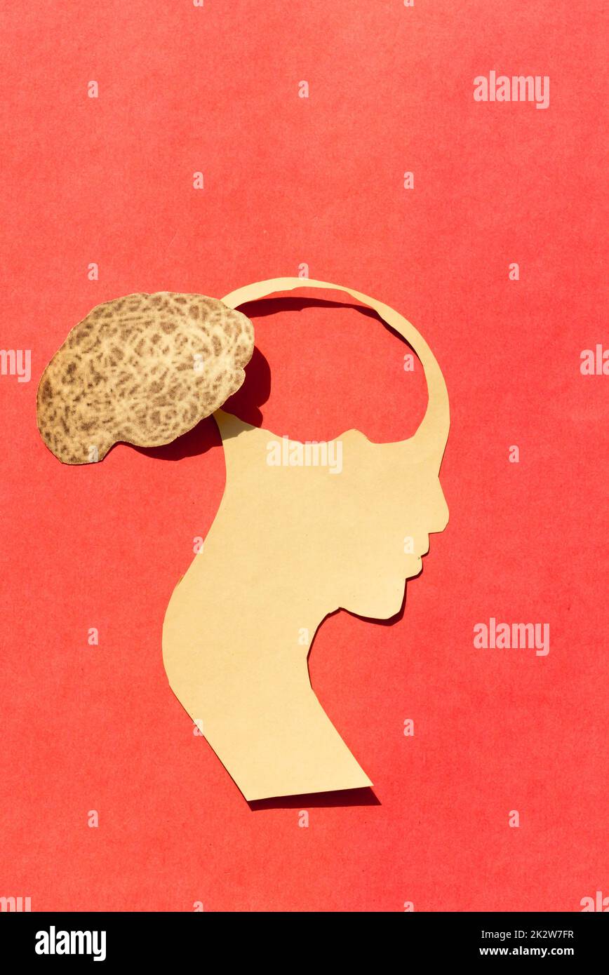 Human brain within head silhouette hi-res stock photography and images ... Human brain within head silhouette hi-res stock photography and images ...