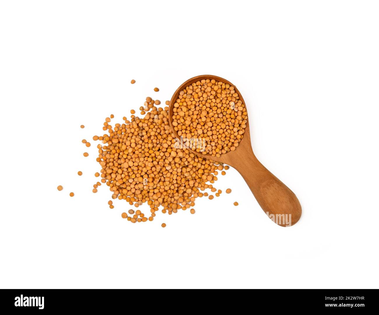 Close up one wooden scoop spoon full of wholegrain yellow mustard seeds ...