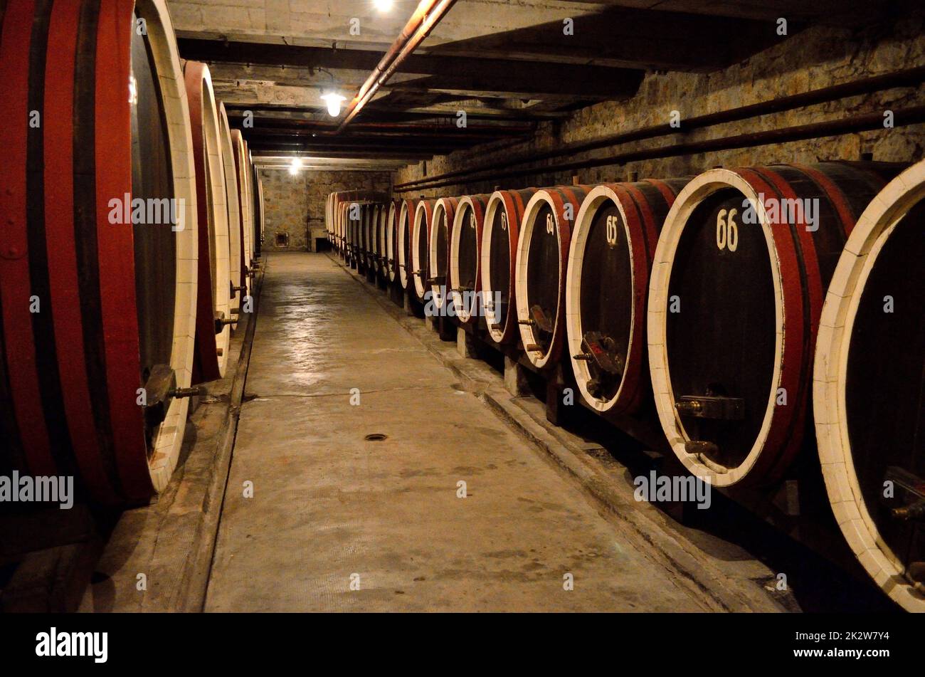 A cellar with many numbered barrels containing wine Stock Photo - Alamy
