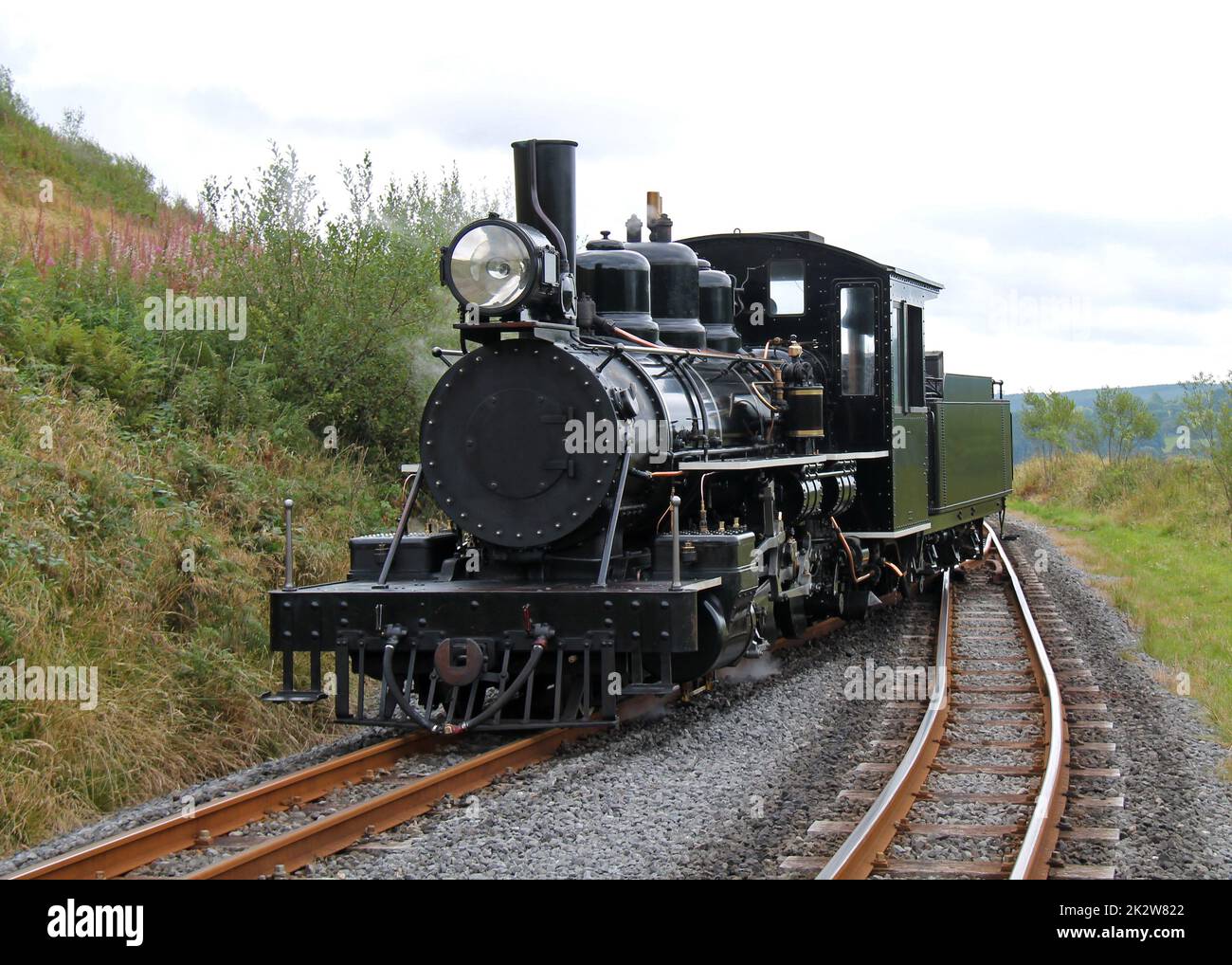 A Magnificent Steam Train on a Narrow Gauge Railway Stock Photo - Alamy