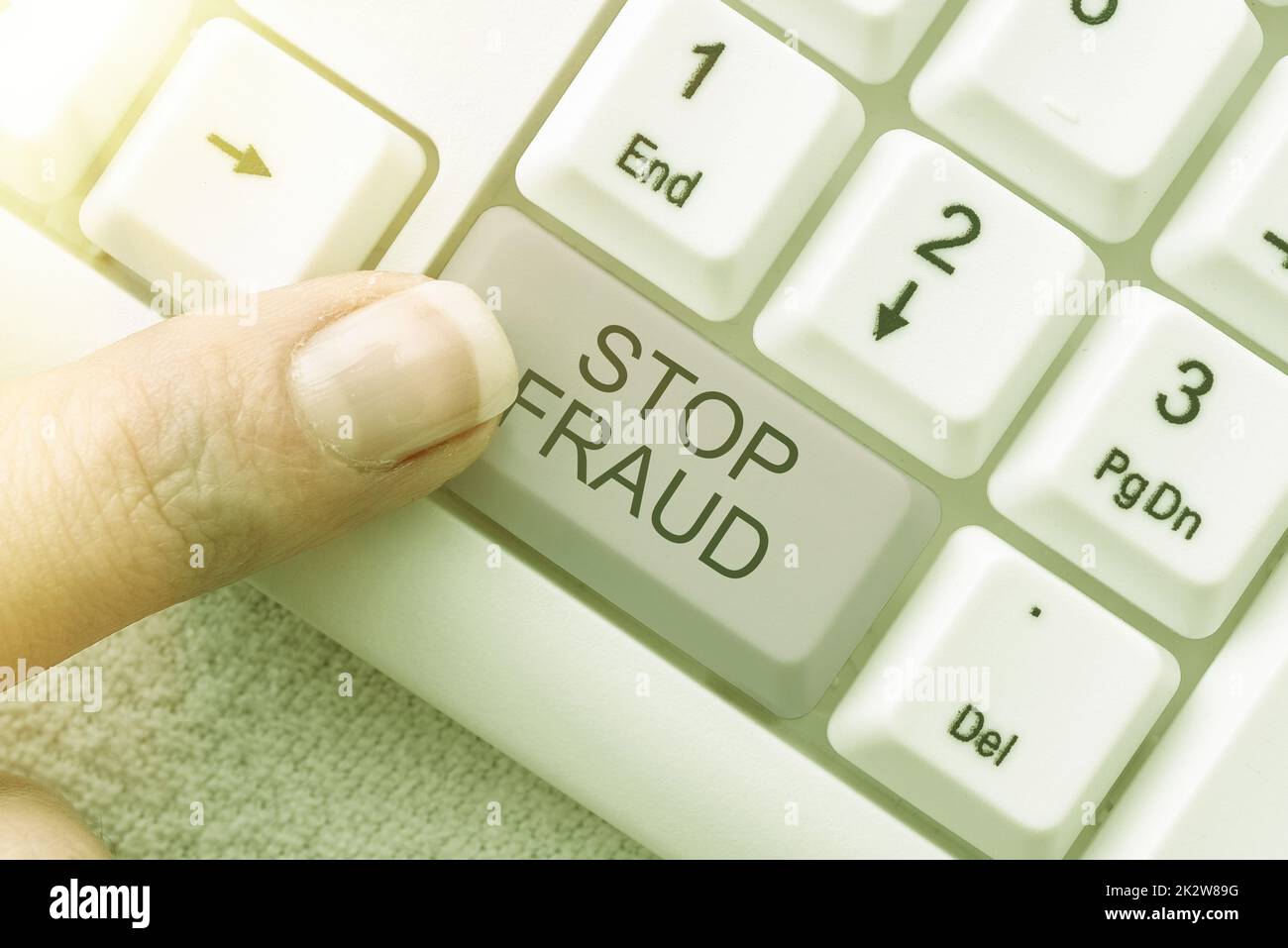 Text caption presenting Stop Fraud. Internet Concept campaign advices ... Text caption presenting Stop Fraud. Internet Concept campaign advices ...