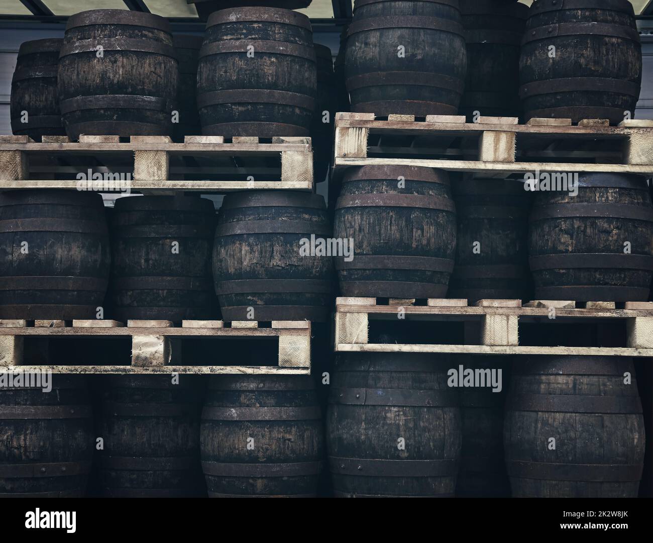 Rows of pallets with staked old grunge vintage dark oak wood barrels of ...