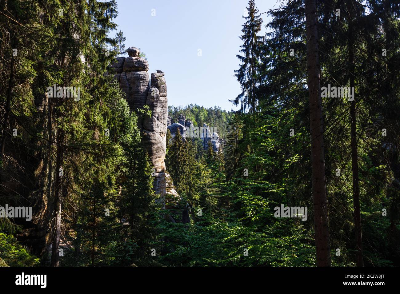 Sandstone towers and forest of Adrspach Rocks, Czech Republic Stock ...