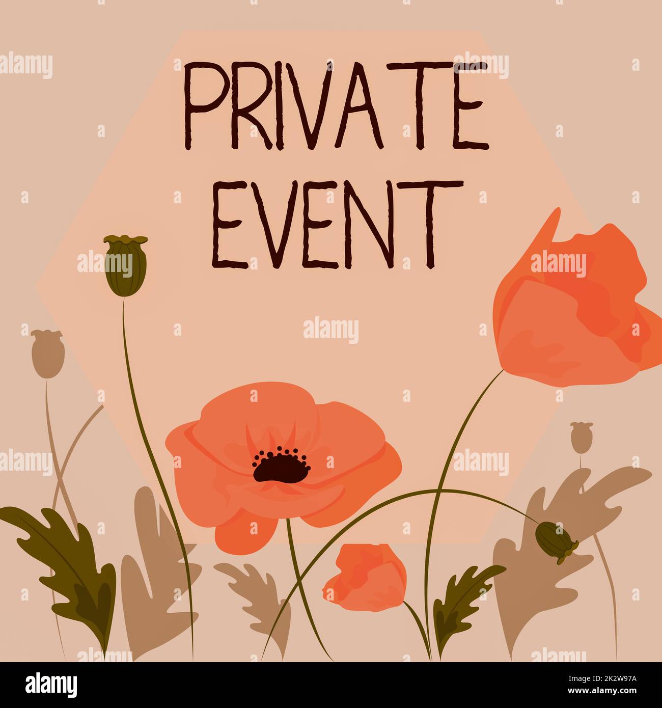 Hand writing sign Private Event. Business overview Exclusive ...