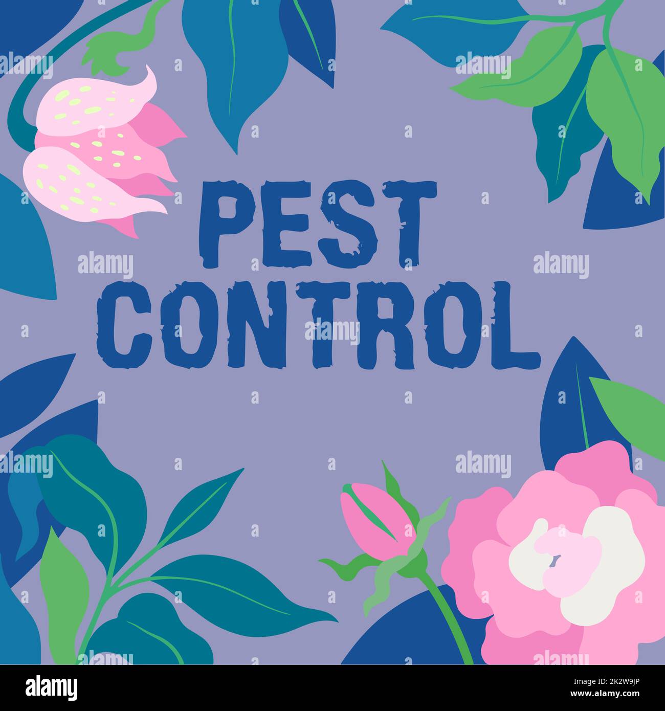 Conceptual caption Pest Control. Word for Killing destructive insects ...