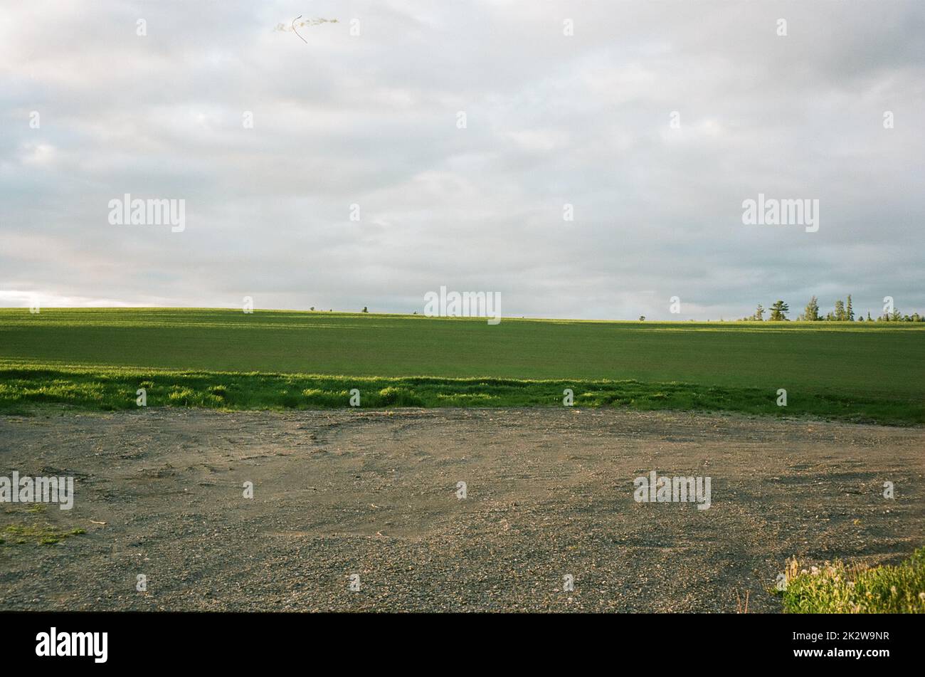 A landscape of sand and green field under a cloudy sky Stock Photo - Alamy
