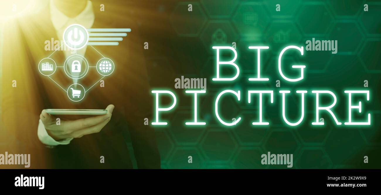 Conceptual display Big Picture. Business concept most important facts ...