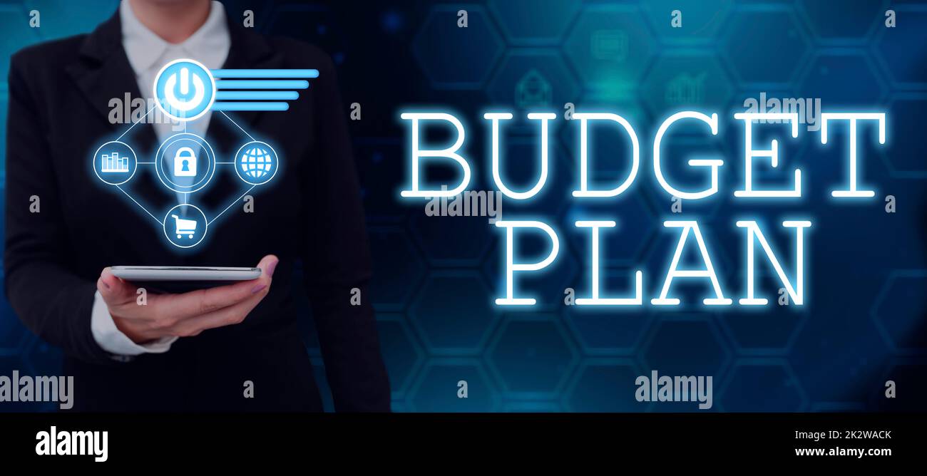 Text sign showing Budget Plan. Internet Concept financial schedule for ...