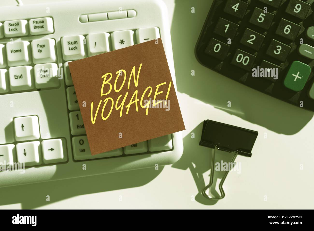 Inspiration showing sign Bon Voyage. Business overview used express ...