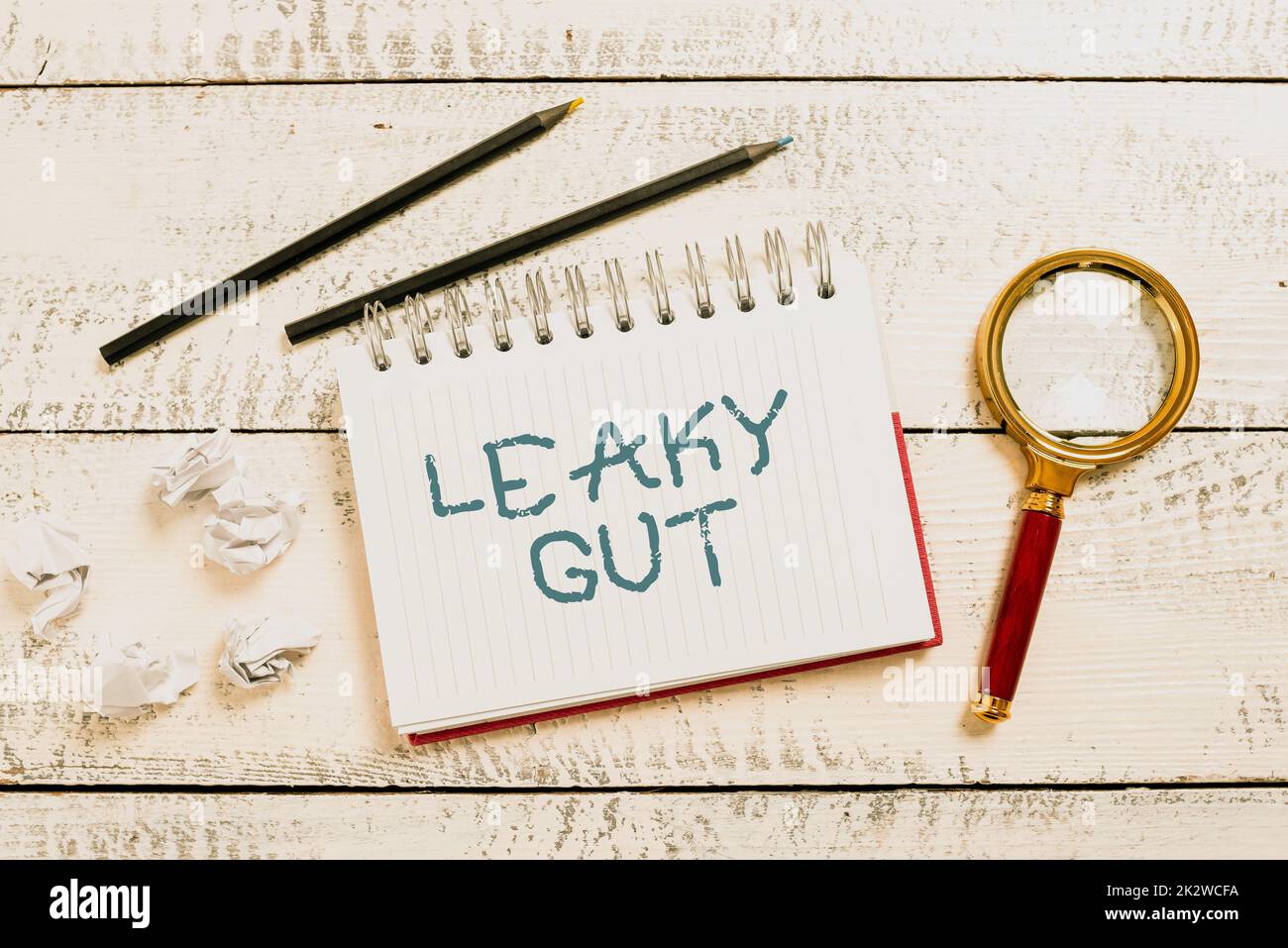 Text showing inspiration Leaky Gut. Conceptual photo A condition in ...