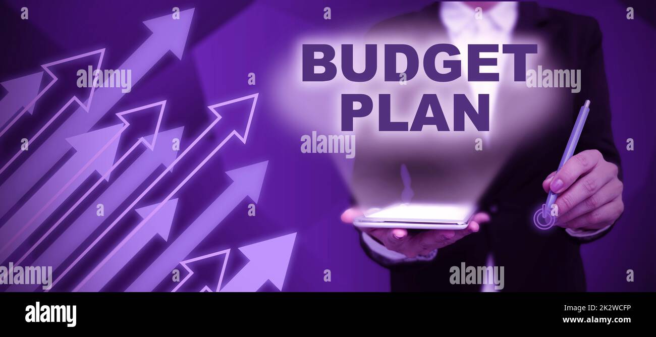 Text caption presenting Budget Plan. Business overview financial ...