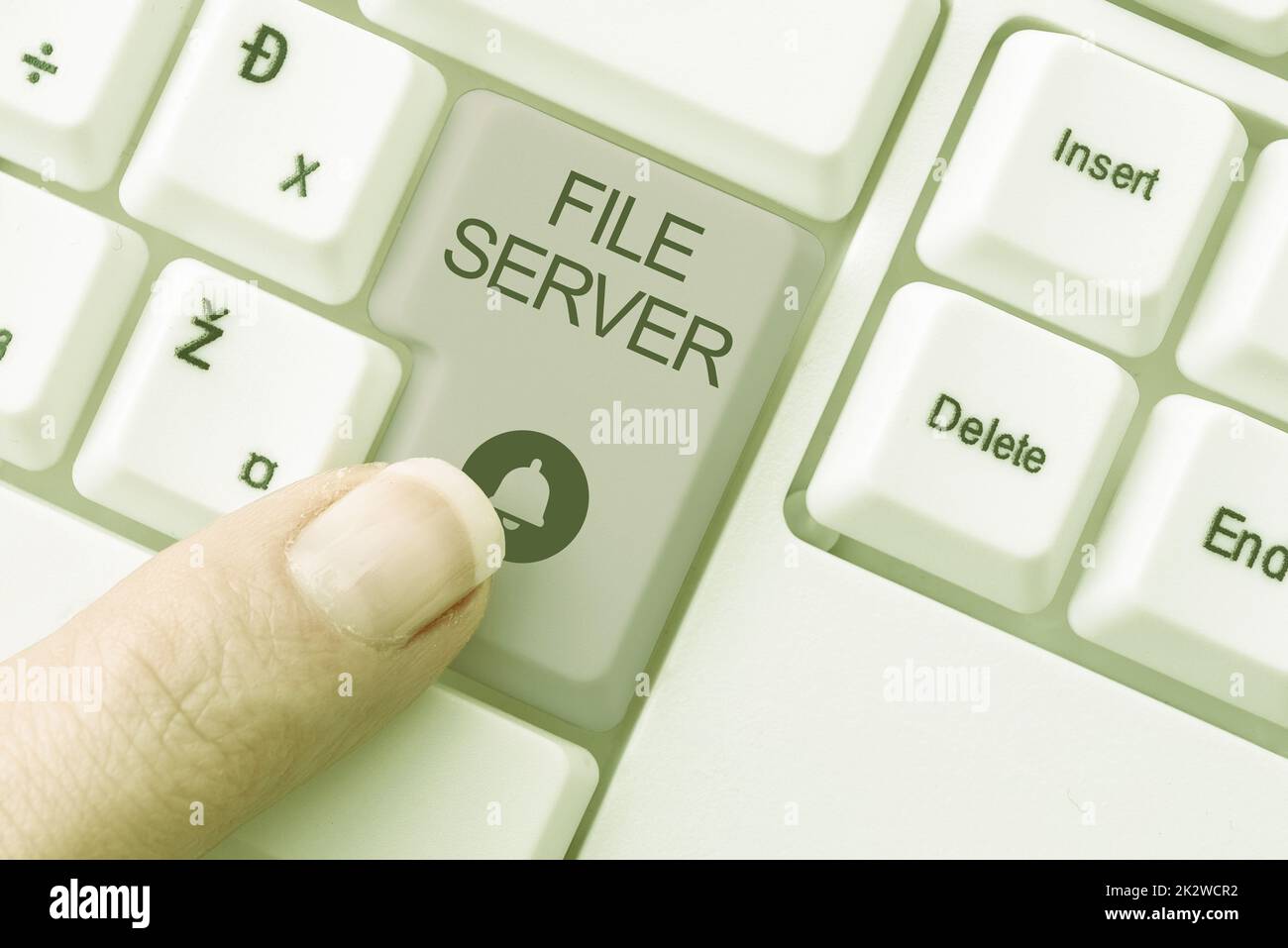 Sign displaying File Server. Conceptual photo device which controls access to separately stored ...