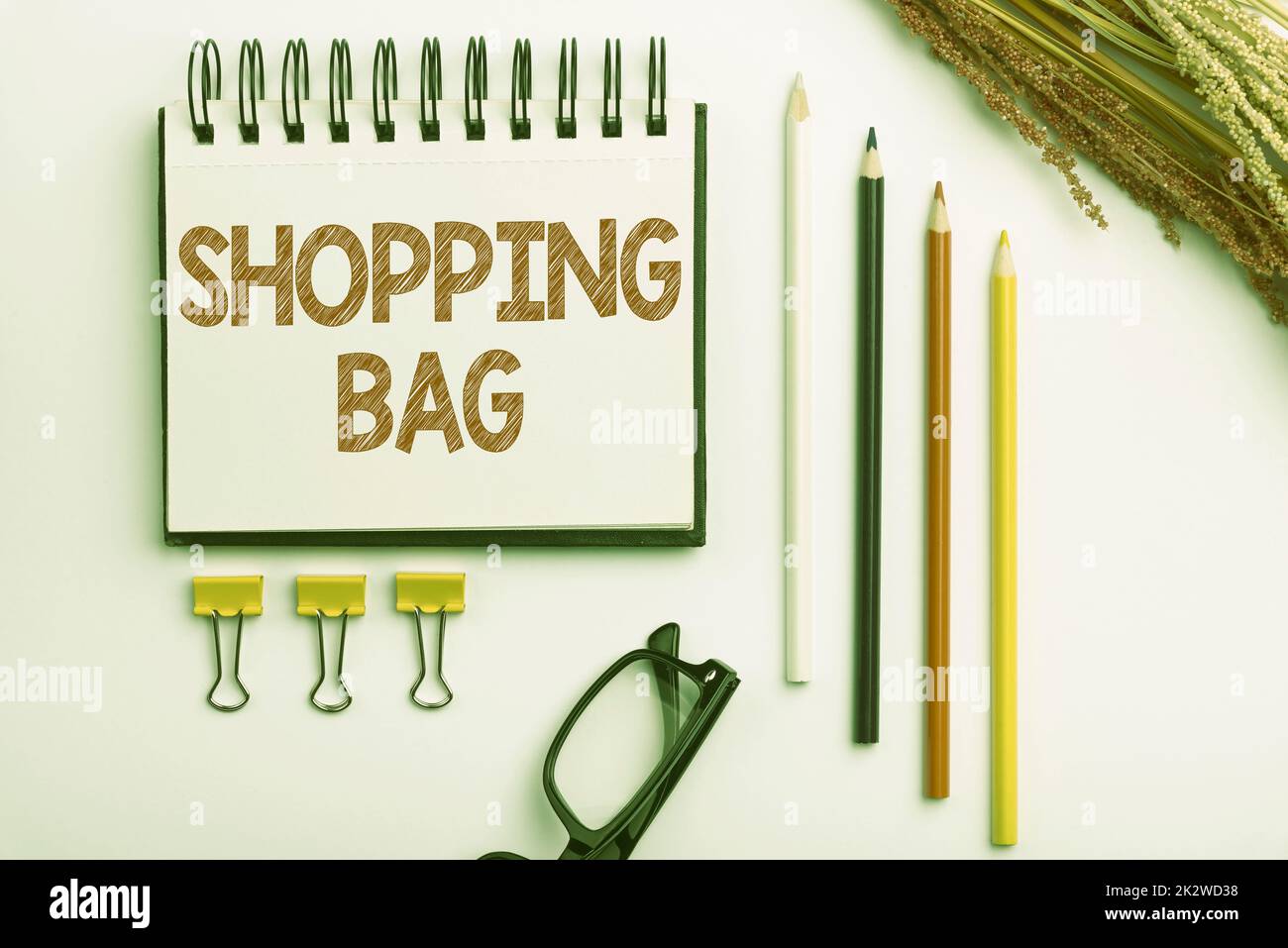 Text sign showing Shopping Bag. Conceptual photo Containers for ...