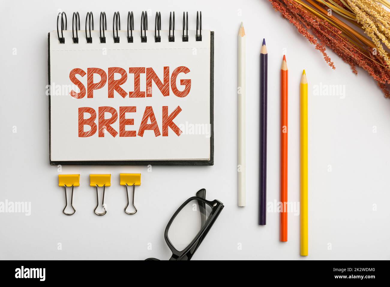 Learning vacation hi-res stock photography and images - Alamy