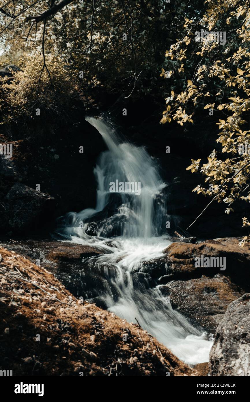 A vertical shot of a waterfall flowing down the rocks covered with ...