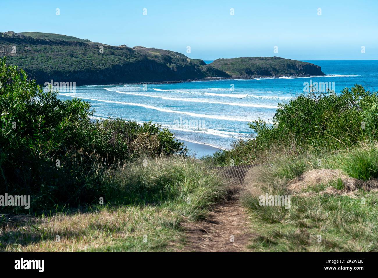 A landscape shot of a path to beautiful peaceful beach surrounded by ...