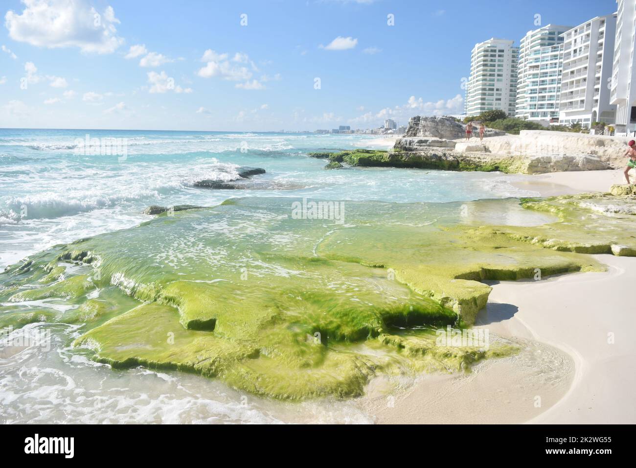 Beach in Cancun, Yucatan, Mexico Stock Photo - Alamy