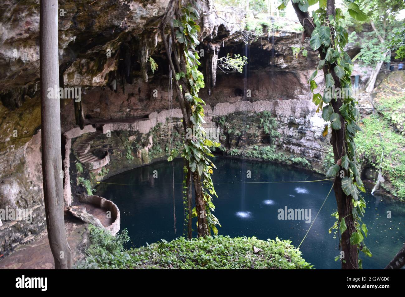 Cenote Zaci in the centre of Valladolid, Yucatan, Mexico Stock Photo ...