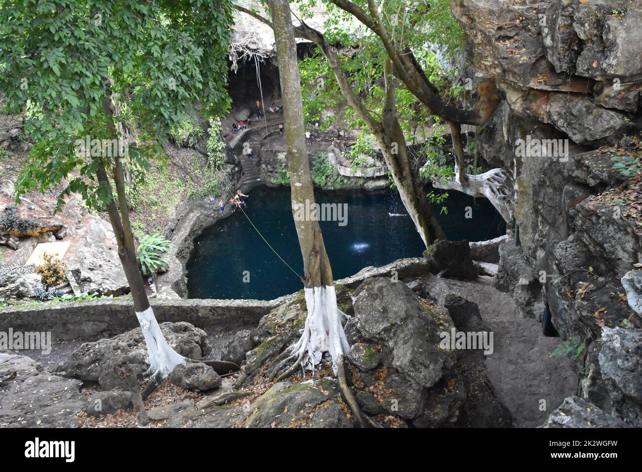 Cenote Zaci in the centre of Valladolid, Yucatan, Mexico Stock Photo ...