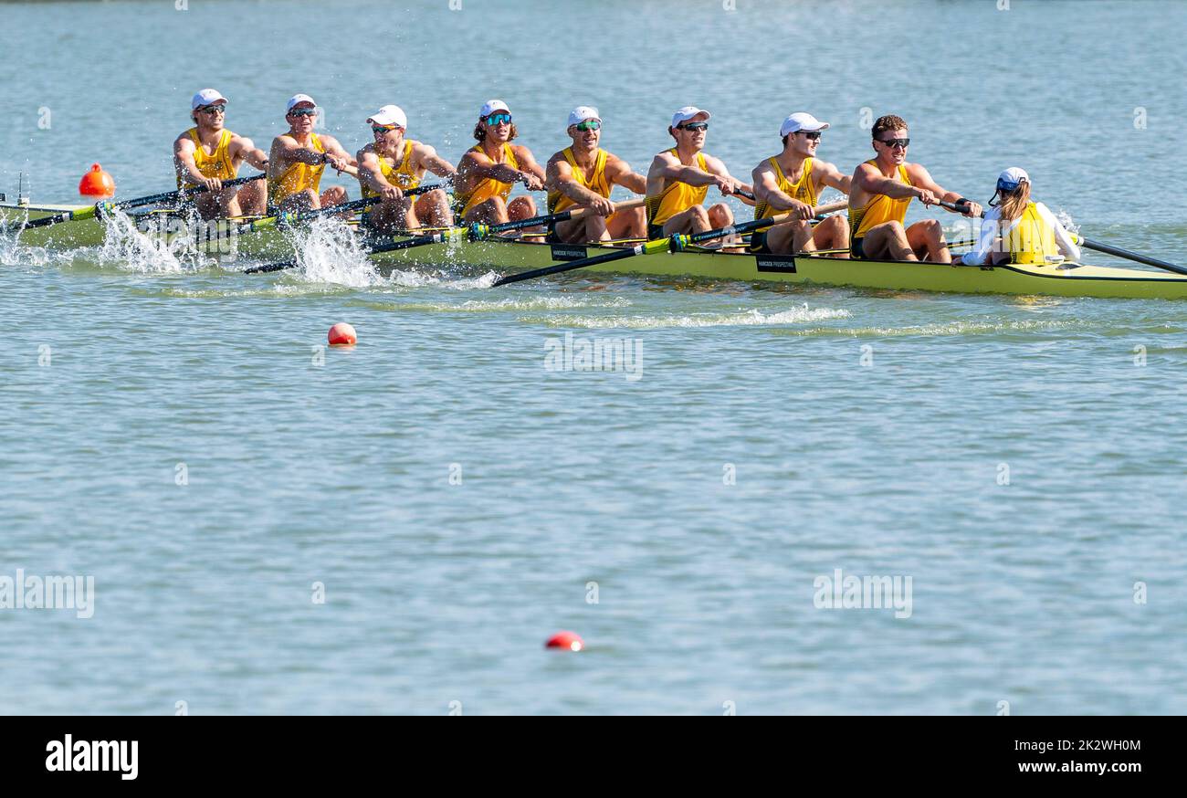 Racice, Czech Republic. 23rd Sep, 2022. Rowers of Australia Rohan ...