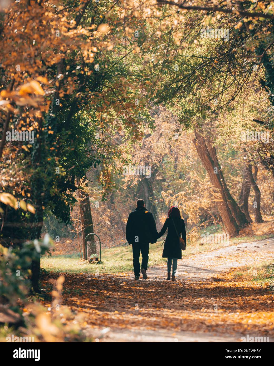 A vertical shot of a romantic couple walking on a trail through an ...