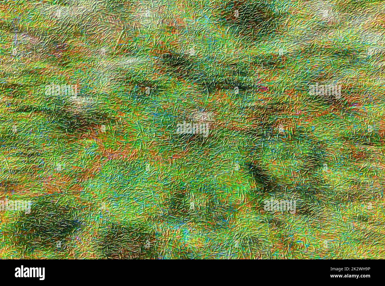 Abstract background with natural texture and irregular pattern Stock ...