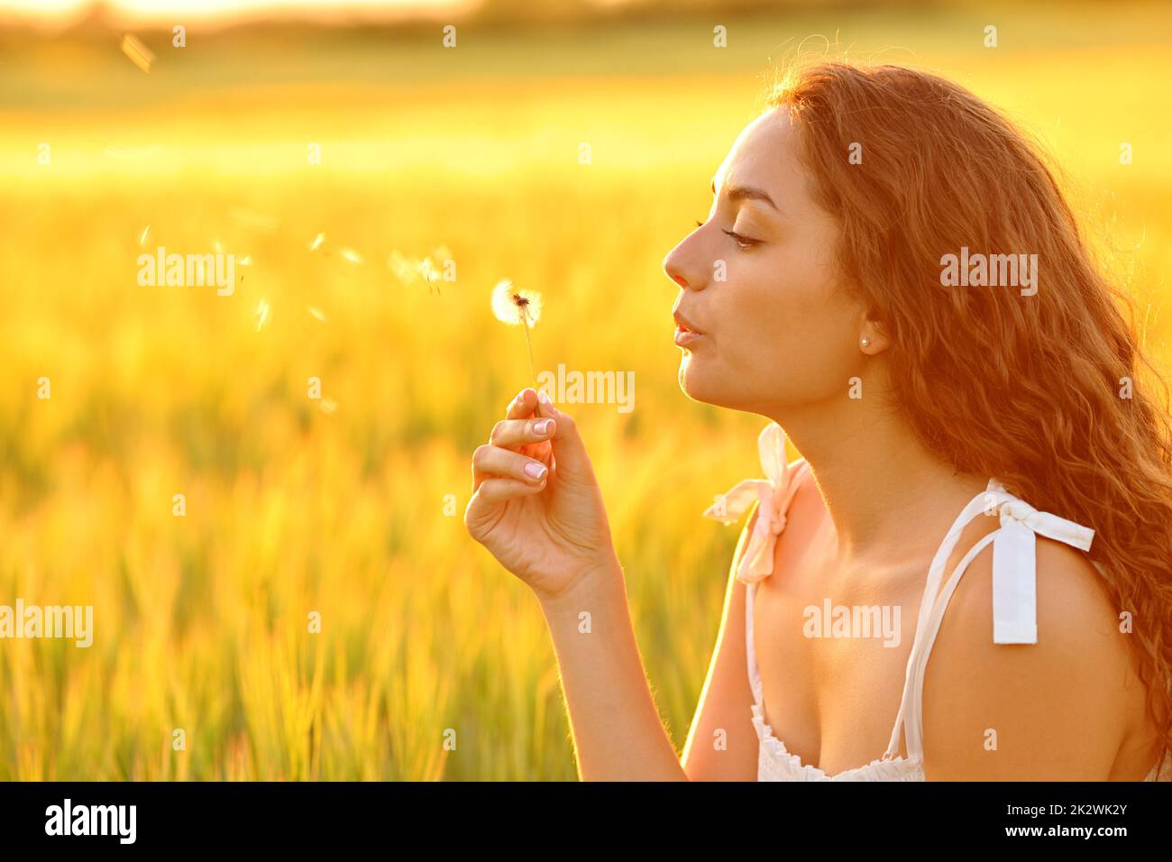 Blowing dandelion hi-res stock photography and images - Alamy