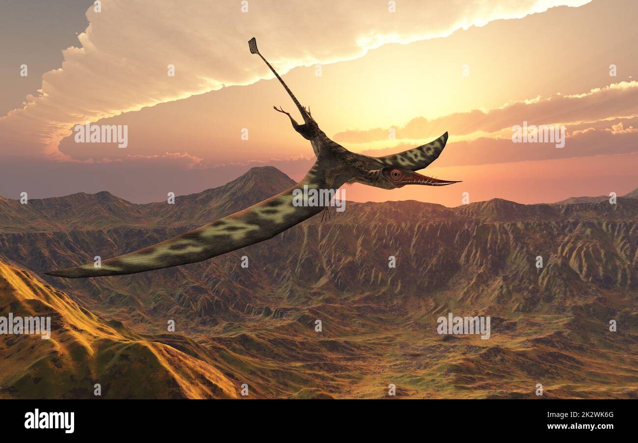 Pterosaur Rhamphorhynchus over a landscape at sunset Stock Photo - Alamy