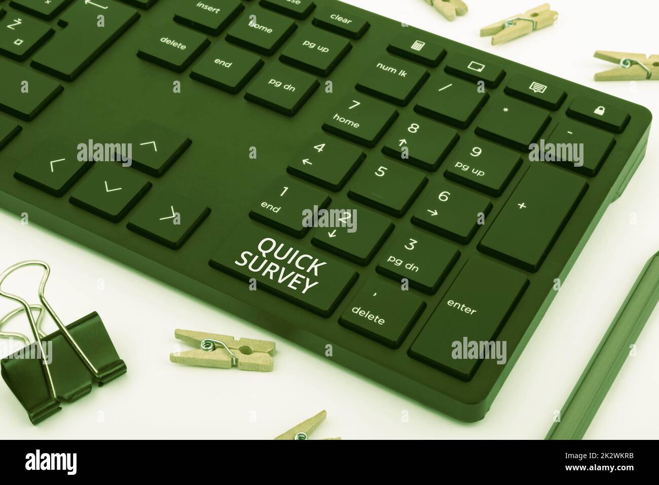 Text Caption Presenting Quick Survey Business Concept Conduct Fast Check On Condition Value