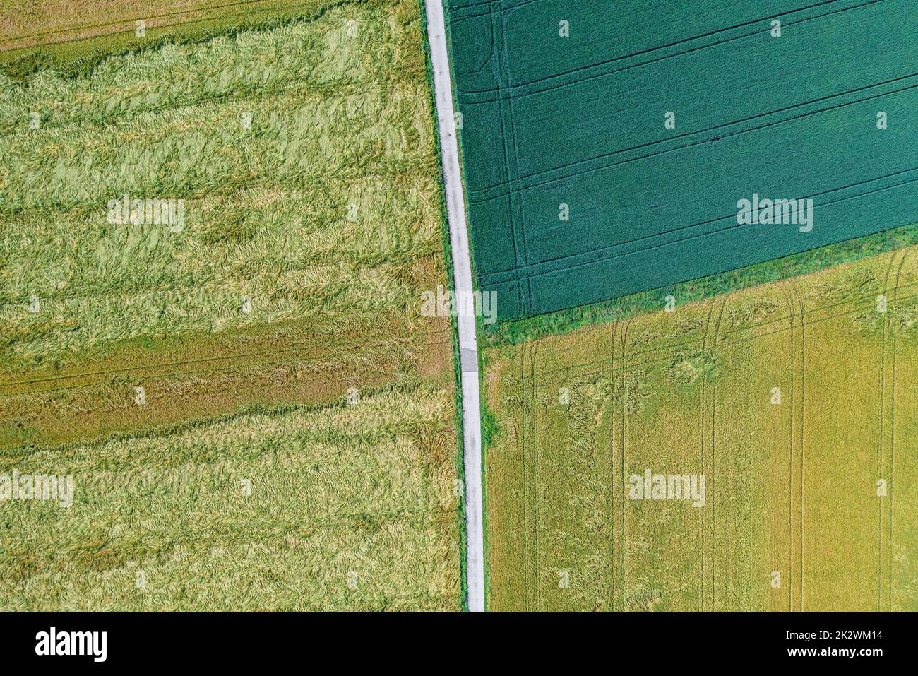aerial of grain fields and road in the summer Stock Photo - Alamy
