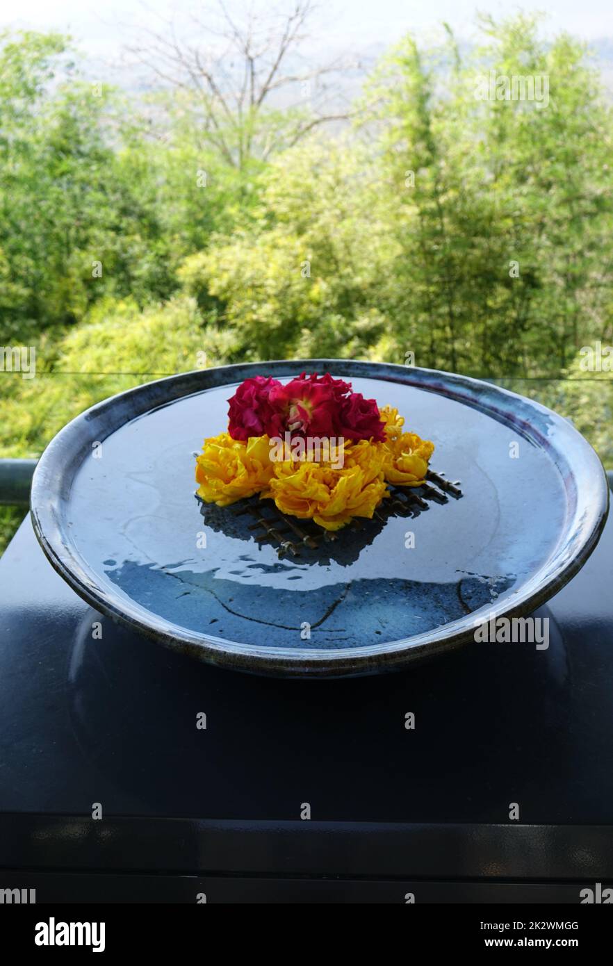 A flower floating on a bowl of water Stock Photo - Alamy