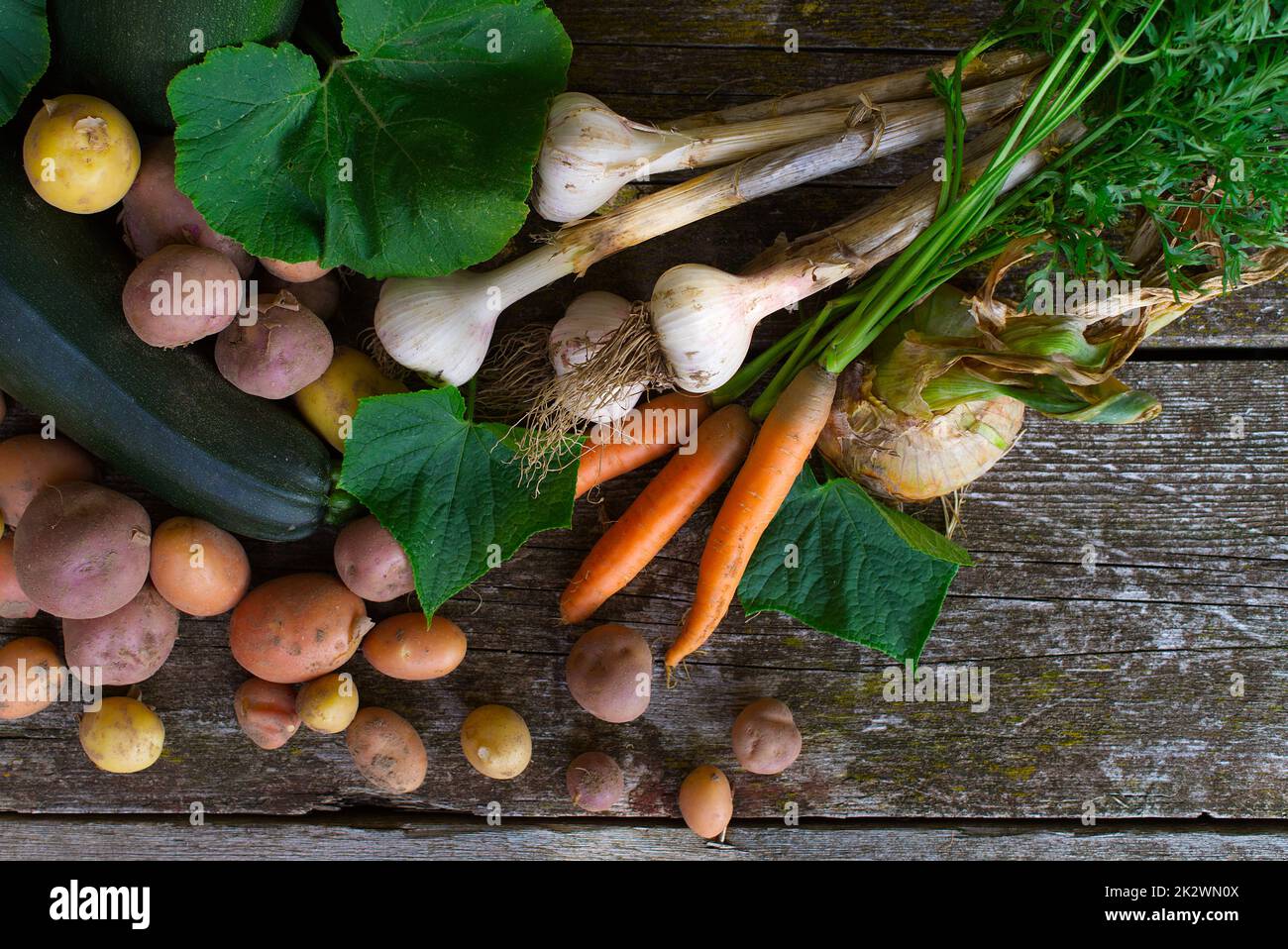 Assortment of freshly harvested farm vegetables in a flat lay Stock ...