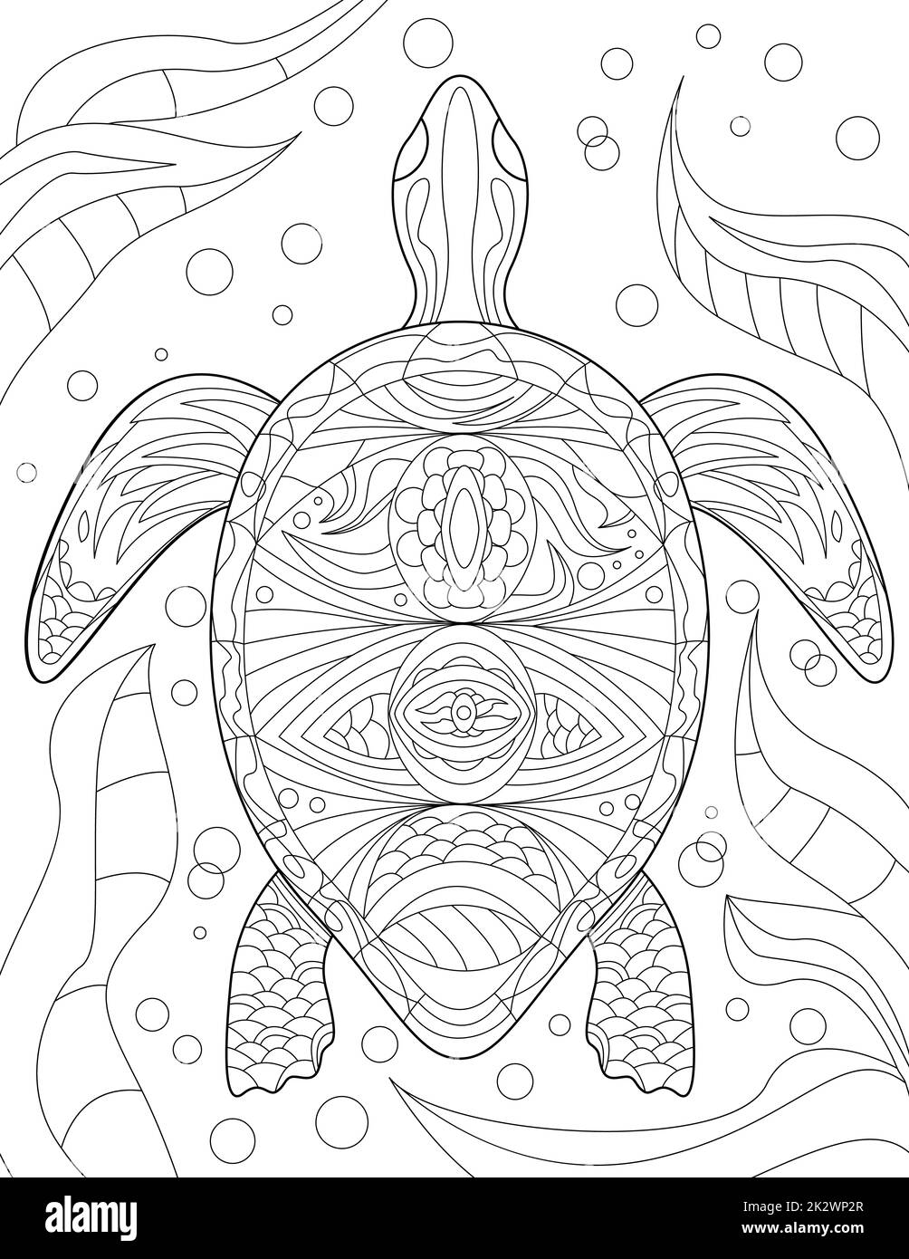 Tortoise image Black and White Stock Photos & Images - Alamy