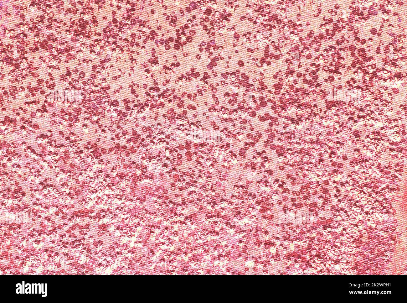 Abstract red background with natural texture and irregular pattern ...