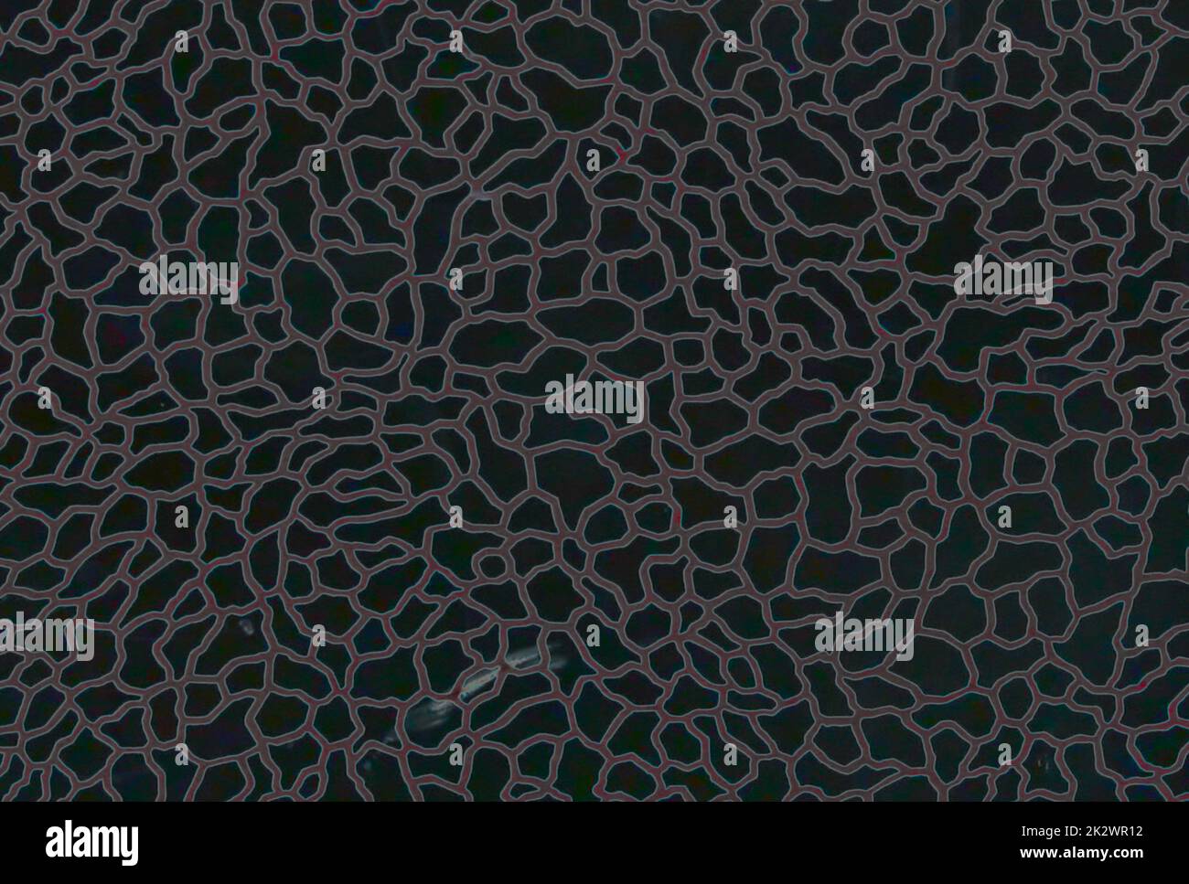 Abstract background with natural texture and irregular pattern Stock ...