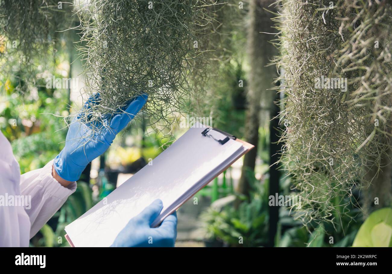 Scientist researching on plants. Agricultural engineer test health and ...