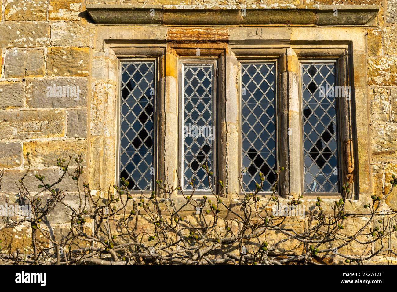 Mullions hi-res stock photography and images - Alamy