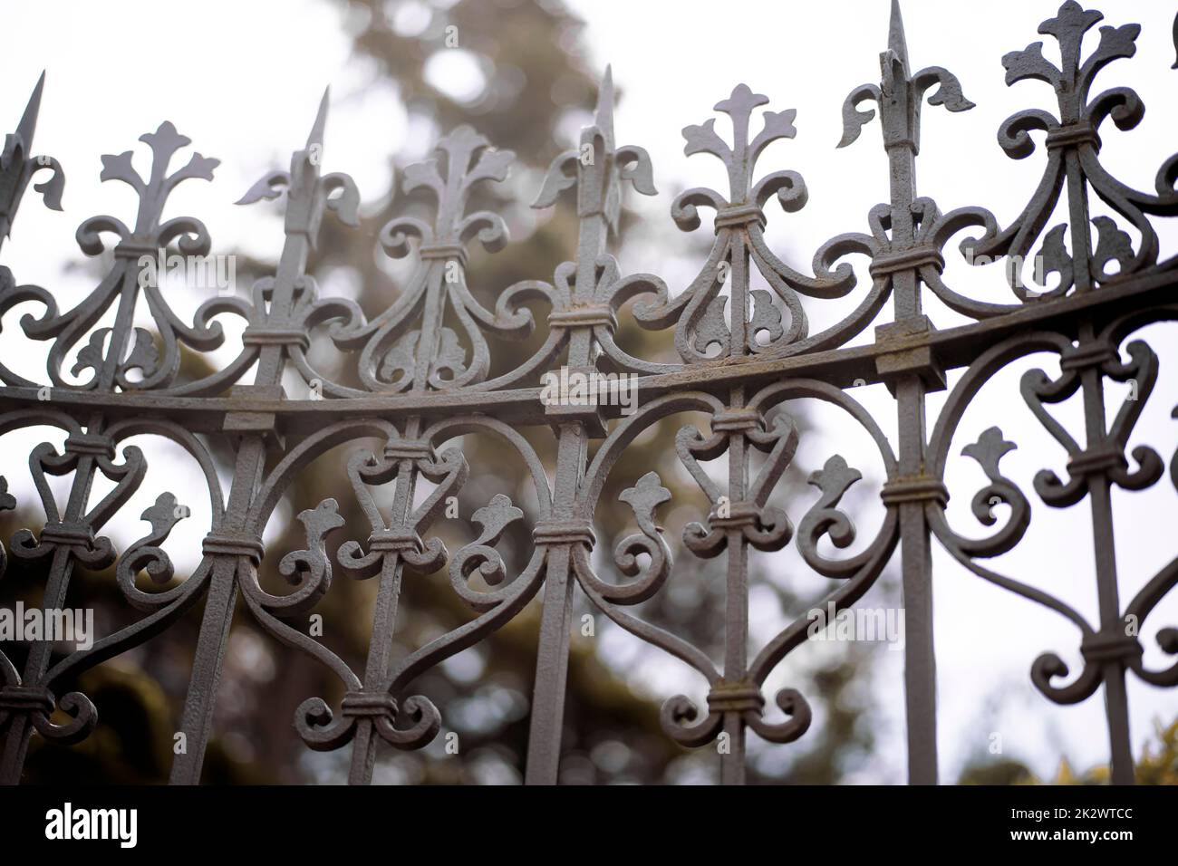 Forged iron fence Stock Photo - Alamy