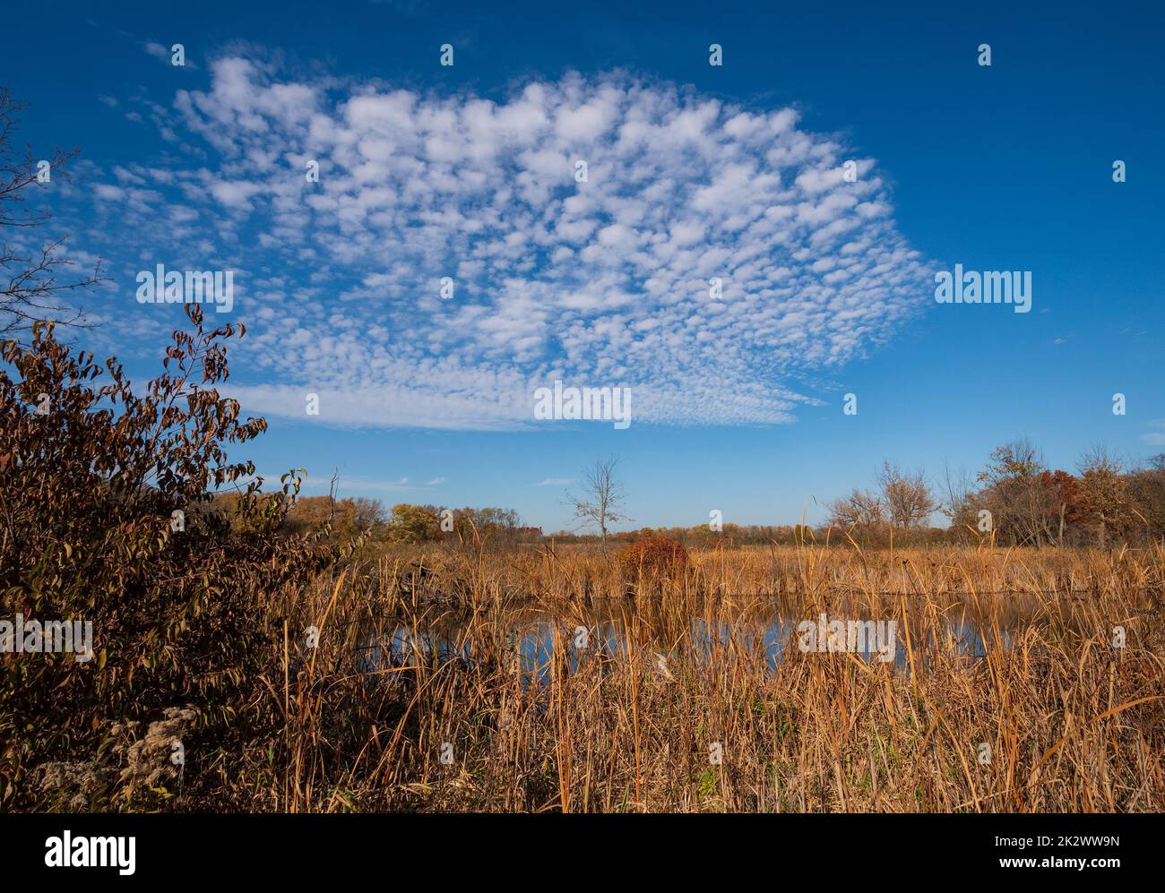 Natural altocumulus hi-res stock photography and images - Alamy