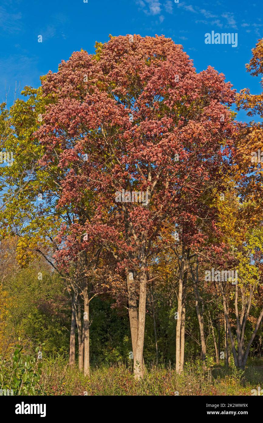 Crabtree nature center hi-res stock photography and images - Alamy