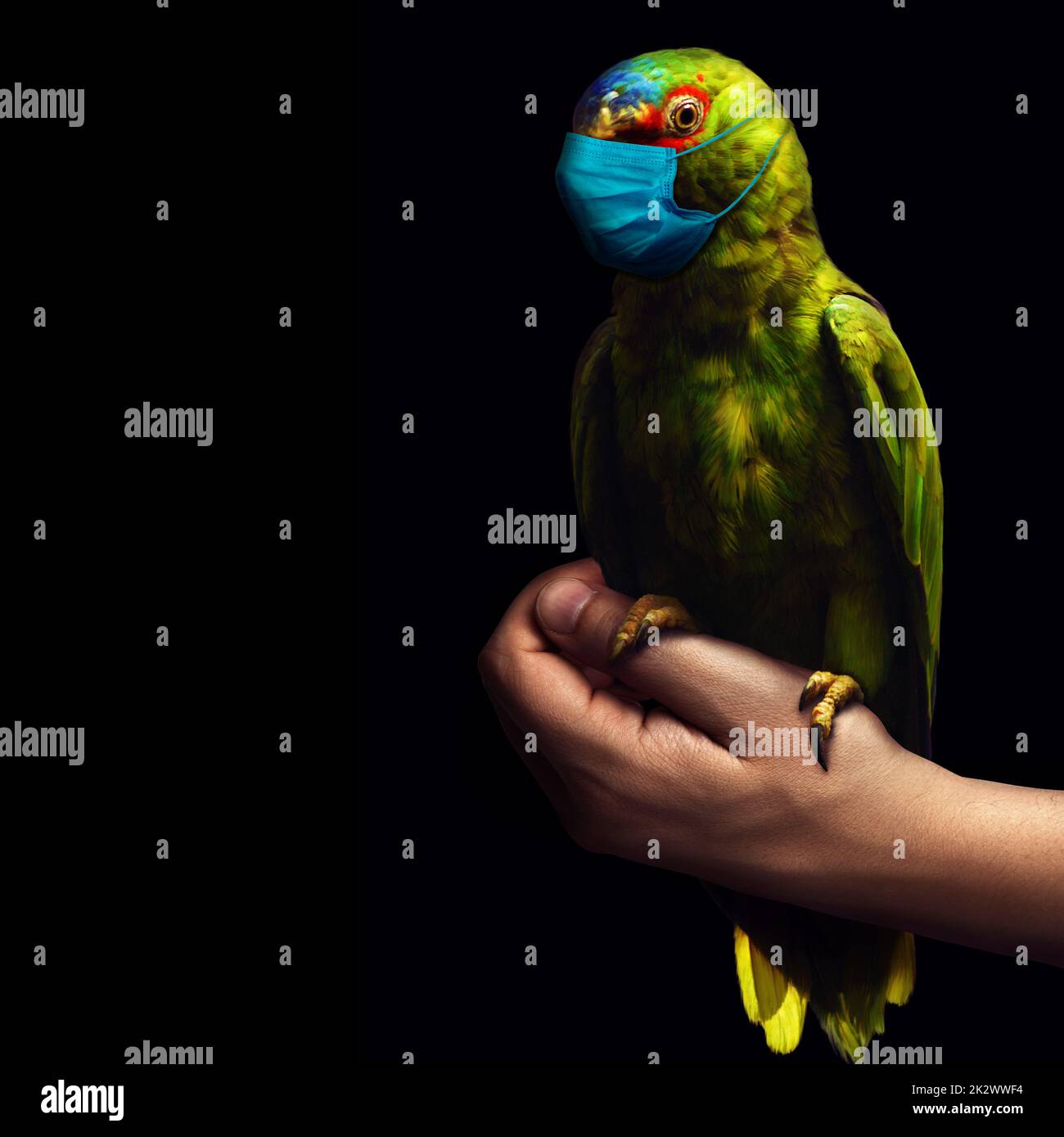 Sick on vacation trip hi-res stock photography and images - Alamy