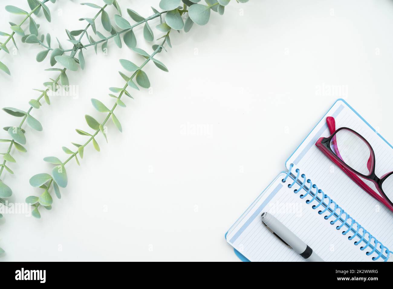 Flashy School Office Supplies, Bright Teaching Learning Collections ...