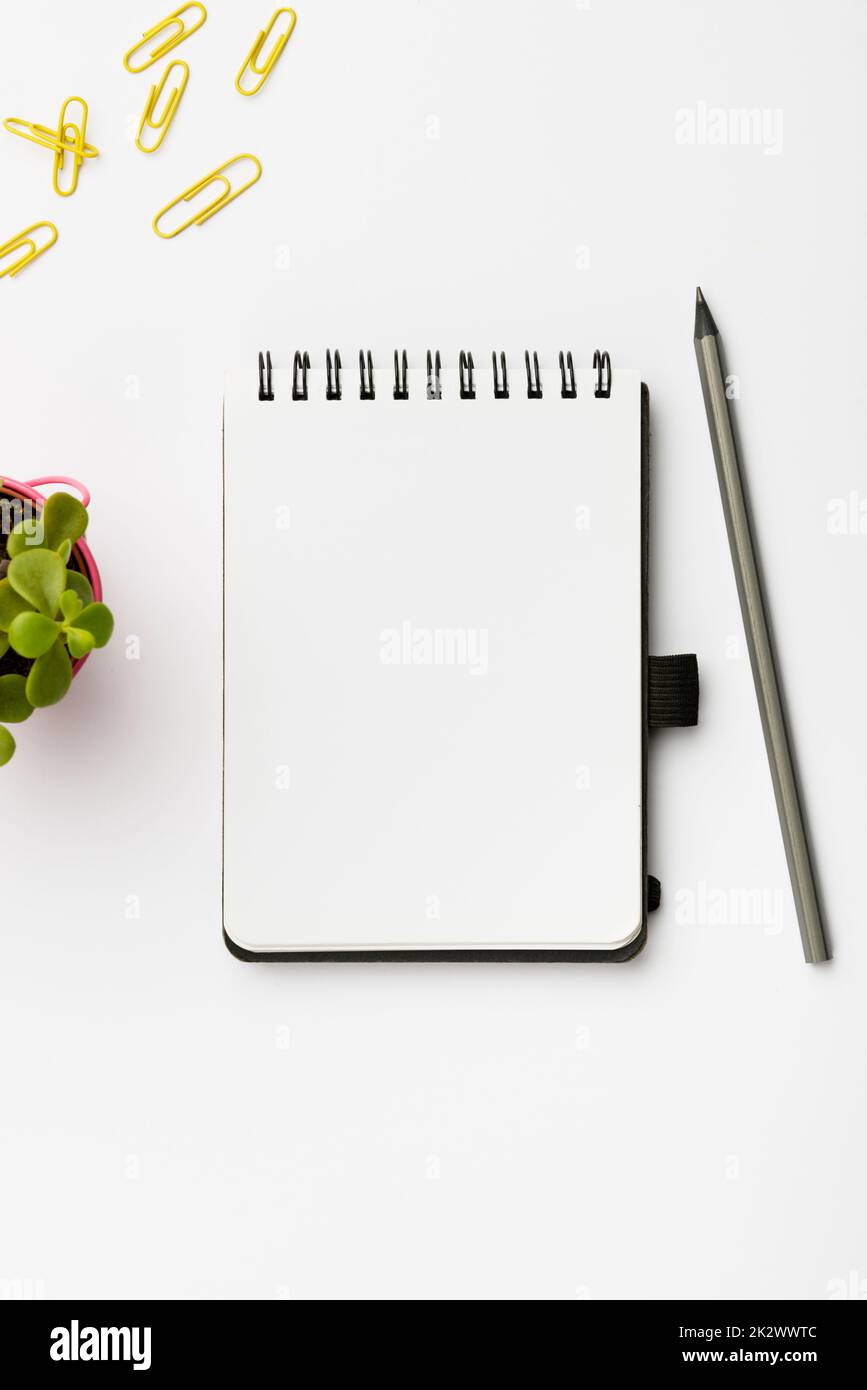 Flashy School Office Supplies, Bright Teaching Learning Collections ...