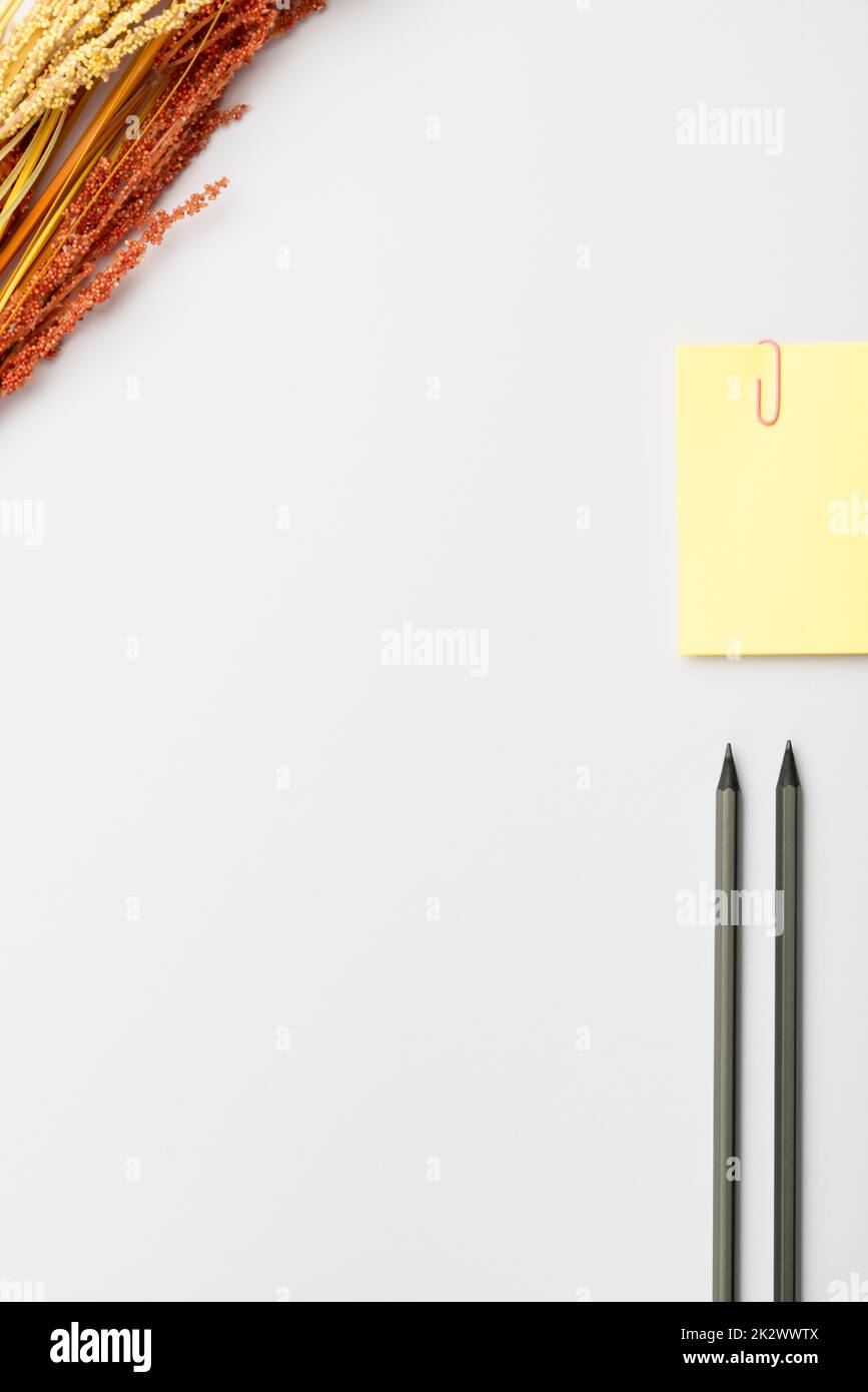 Flashy School Office Supplies, Bright Teaching Learning Collections ...