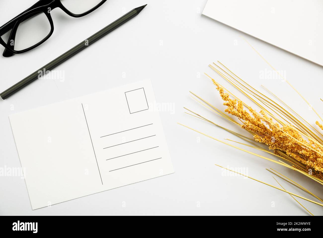 Flashy School Office Supplies, Bright Teaching Learning Collections ...