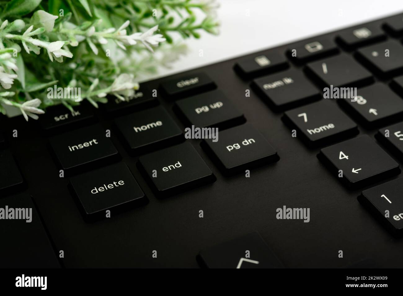 Computer Keyboard And Symbol.Information Medium For Communication ...