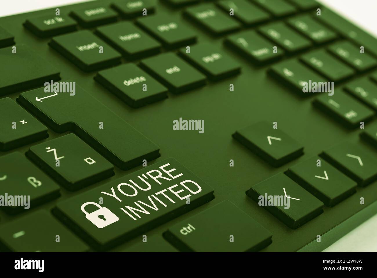 Inspiration showing sign You Re Invited. Business approach Please join ...